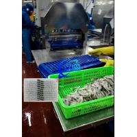 Quality 100 Pcs Tray Automatic NOBASHI Machine And Tempura Shrimp Stretching Machine for sale