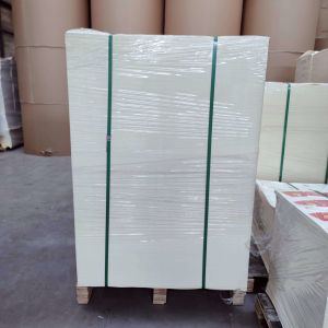 Quality Eco Friendly Double Side PE Coated Paper Sheet Offset Printing For Food for sale