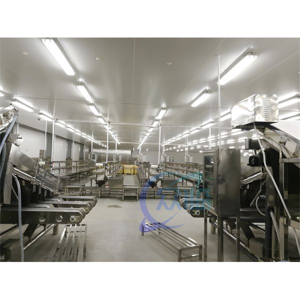 Quality 3KW Stable Shrimp Processing Machine 10000x1150x1550mm Practical for sale
