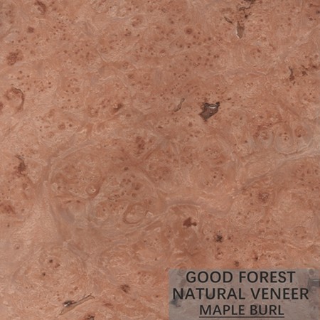 Quality Hotel Birds Eye Maple Wood Veneer Artificial Specially Natural for sale