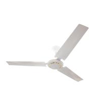 China Household 12V Dc Remote Control Blade Ceiling Fan With Adapter factory
