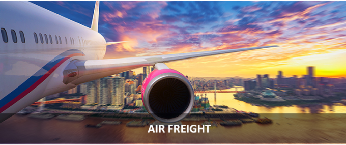 LCL Sea Freight Forwarder China To NZ Boston Wellington Auckland Hamilton 1