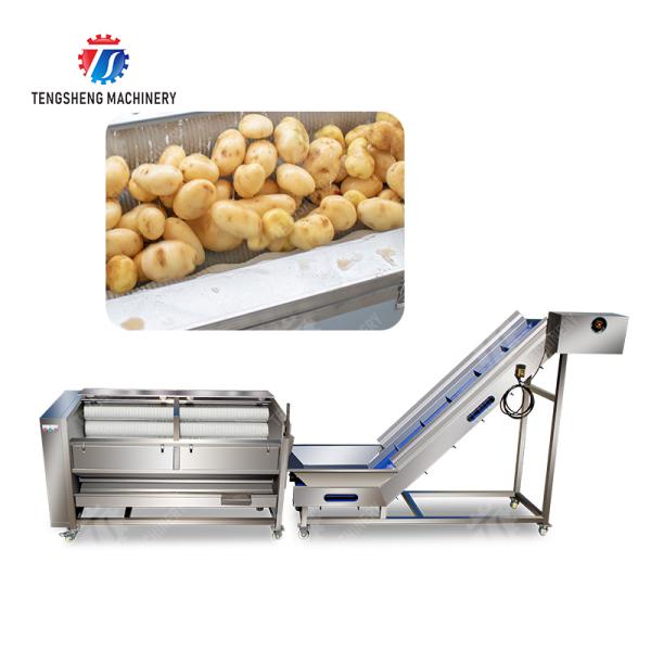 Quality Brush washing and hoisting production line Ginger Potato Carrot Taro Sweet for sale