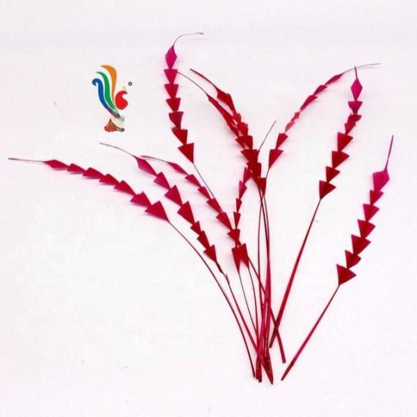 Quality Dyed Stripped Rooster Coque Feathers with Fast Shipping via DHL UPS FEDEX EMS for sale