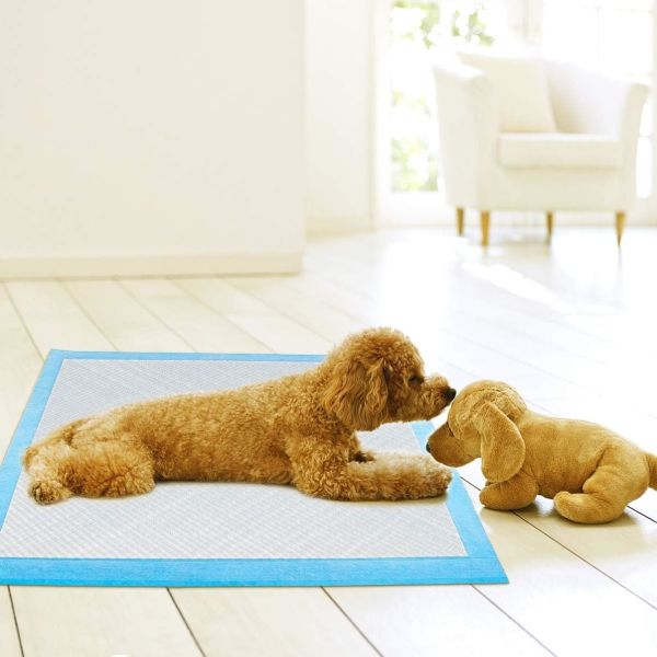 Quality Fast Drying Pet Pee Pads for Small Animals Absorbent and Non-Woven Fabric for sale