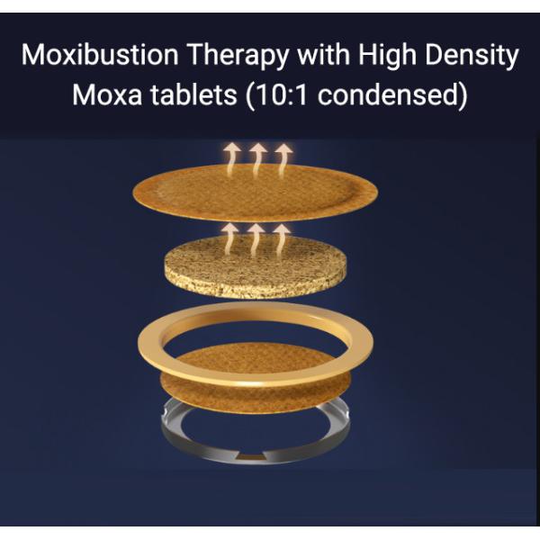 Quality Artificial Planting Cultivation Method Five Pieces of Moxibustion Tablets for for sale