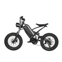 Quality Off-Road Electric Fat Tire Bike Rear Hub Motor 20" Wheel Size for Exciting for sale