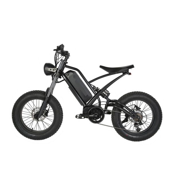 Quality Off-Road Electric Fat Tire Bike Rear Hub Motor 20