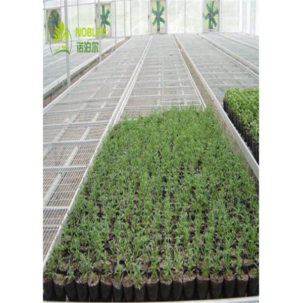 Quality Large Wire Greenhouse Grow Beds And Tables / Garden Center Tables for sale