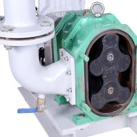 Quality Multifunctional Rotary Lobe Pump Stainless Steel For Municipal Sewage for sale
