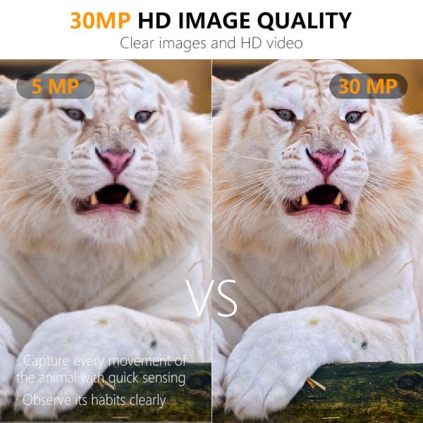 Quality Wildlife Trail Camera No Glow 30MP Image 1080P Video Waterproof IP67 up to 512GB for sale