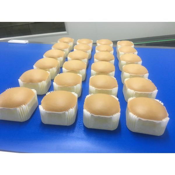 Quality CE SUS304 Semi Automatic Sponge Cupcake Production Line for sale
