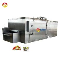 Quality 500kg Capacity Tunnel Freezing Machine for Quick Freezing Fish Shrimp Fruit and for sale