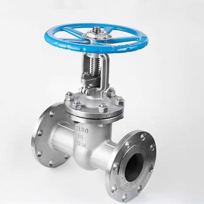 Z41W-150/300/600lb ANSI Flanged Gate Valve CF8
