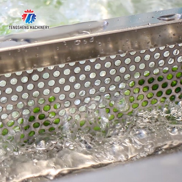 Quality Industrial Single Bubble Fruit And Vegetable Washing Machine 300KG/H for sale