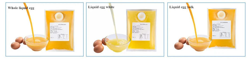 Egg Breaker Machine and Egg Separating Machine From Liquid Egg Production Line