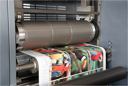 Quality Ecoographix Multifunctional Offset Rotary Label Printing Machine 180m/Min for sale