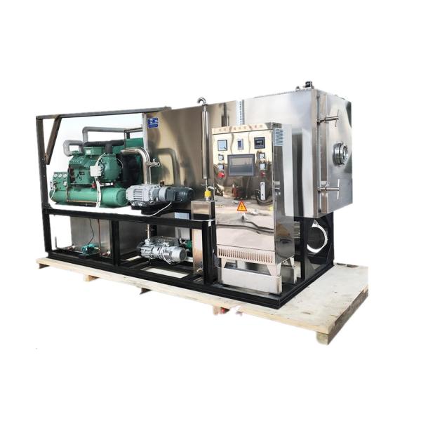 Quality SS304 Durian Jackfruit Drying Machine for sale