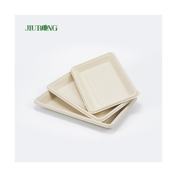 Quality PLA Biodegradable Bagasse Tableware Dish Fast Food Serving Tray for sale