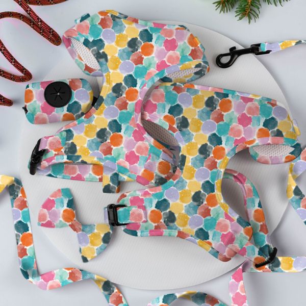 Quality XS S M L XL Puppy Harness And Leash Set Air Mesh Soft Neoprene Collar And Lead Set for sale