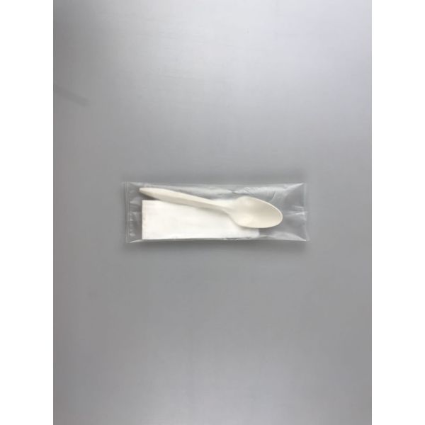 Quality Plastic Cutlery Spoon Biodegradable and Disposable Packed in OPP Bag for for sale
