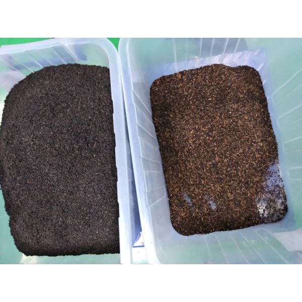 Quality Optical Cardamom Colour Sorting Machine Multifunction Tea Coffee Bean Dried Nuts for sale