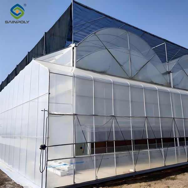 Quality Personalized Blueberries Greenhouse With Plastic Covering Rainproof for sale