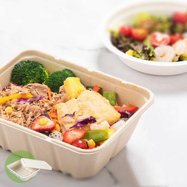 Quality 450ml 550ml Natural Eco Biodegradable Bagasse Tableware Salad Fast Food To Go Containers for sale