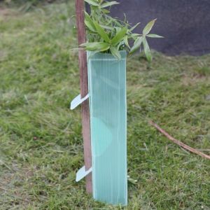 Quality Green PP Hollow Corflute Tree Guard Biodegradable Tree Shelters for sale