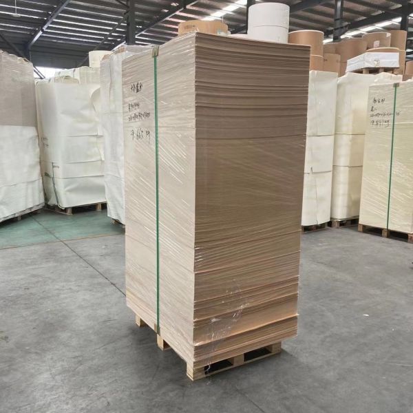 Quality 165gram 185gram Paper Cup Sheet Paper Cup Making Raw Material for sale