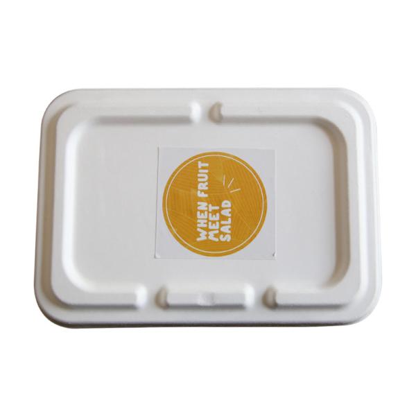 Quality Factory 100% Biodegradable Compostable Bagasse Pulp Packaging Food Container for sale