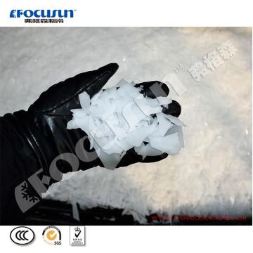 Quality 20 Tons Flake Ice Machine for Fishery Best Water Cooling Local Service Location for sale