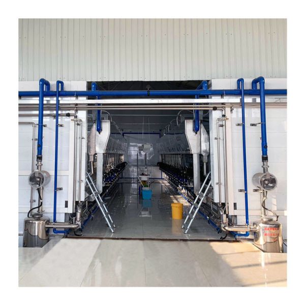 Quality Digital Metering 220v 10 Unit Milking Parlour Herringbone Type for sale
