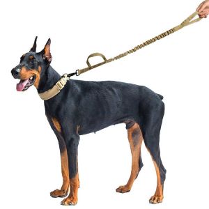 Quality Nylon 1.5in Adjustable Dog Harness 20in Embroidered Tactical Dog Collar for sale