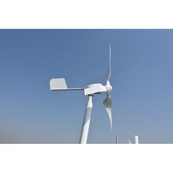 Quality Three Phase Small Horizontal Wind Turbine 24 Volt 48 Volt 800W Horizontal Wind for sale