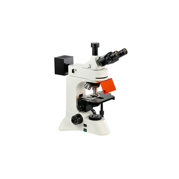 Quality WF10X/22mm Led Fluorescent Microscope Inverted 4X 10X 360 Degree for sale