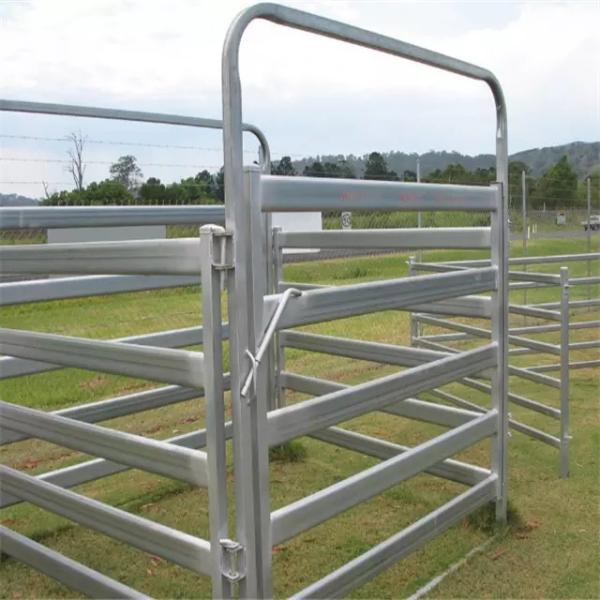 Quality Welded Zinc Coating Portable Cattle Panels For Livestock for sale