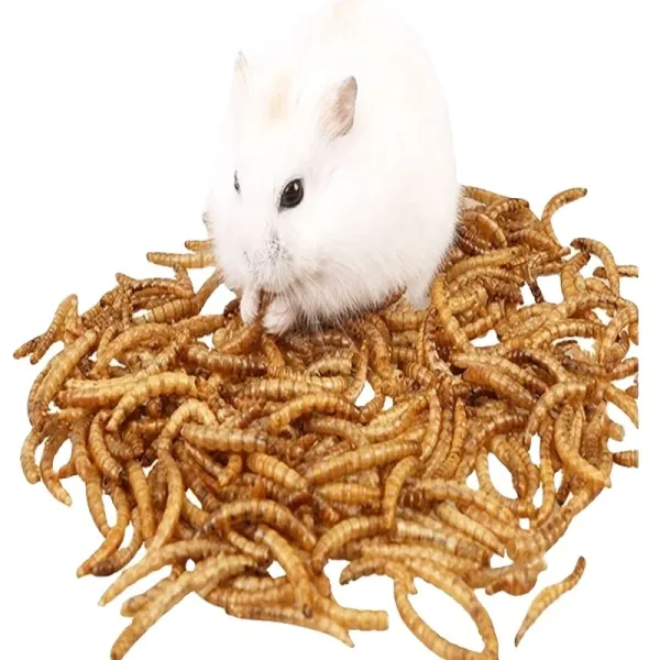 Quality Oil Form Mealworm Oil High Nutritional Value 2 Year Shelf Life for sale