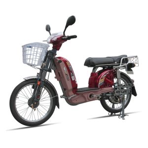 Quality Fastest Hybrid Electric Motorized Bike City Two Wheel Electric Bike Max Loading for sale