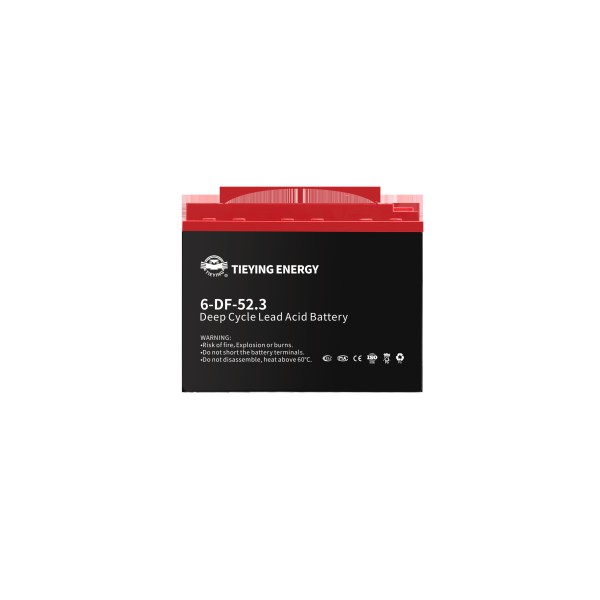 Quality Electric Tricycle Rechargeable Lead Acid Battery 6-DF-52.3 12V 52.3Ah 215*121*174MM for sale