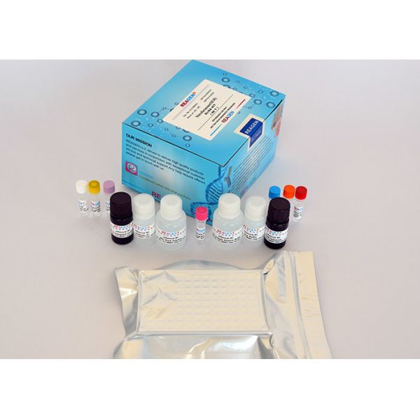 Quality Thiamphenicol ELISA Test Kit Quick ELISA Assay High Sensitivity (0.1 Ng/G Or ppb) for sale