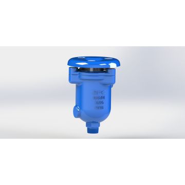 Quality NPT Thread Combination Air Release Vacuum Valve for sale