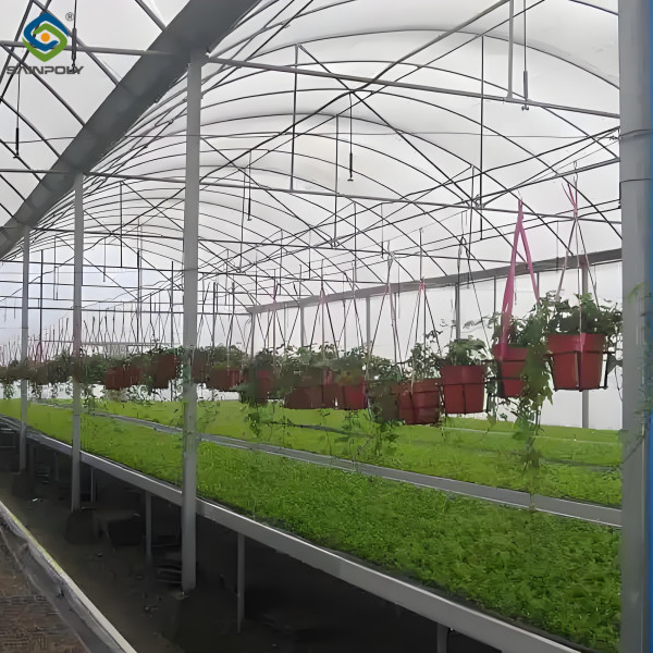 Quality Agricultural Multi Span Greenhouse Strong Structure For Tomato Planting for sale