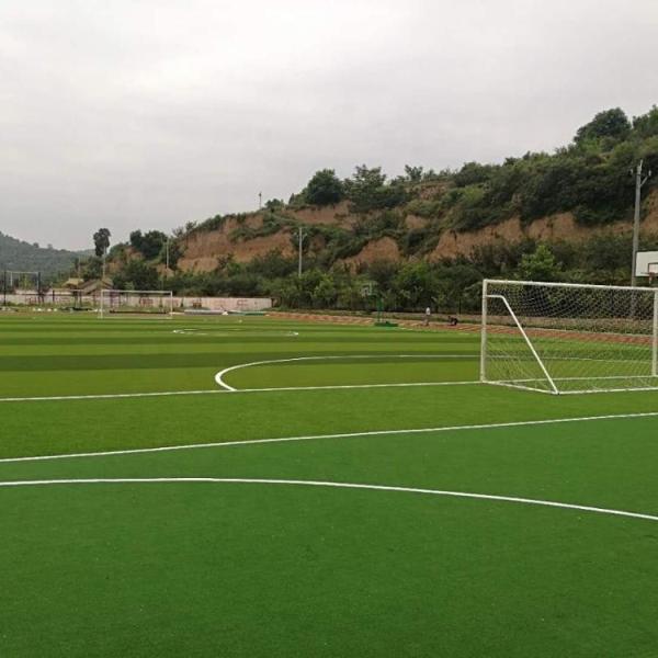 Quality 20stitches/m Stitch Rate 55mm Artificial Turf for Soccer Field Synthetic Grass for sale