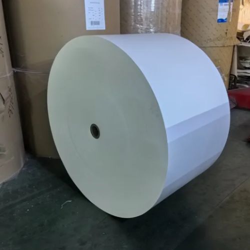 Quality Paper Cup Raw Material Double PE Coated Paper Roll for Cups and Bowl Making Paper Roll for sale