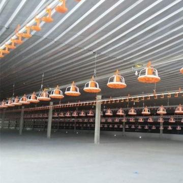 Quality Poultry Pan Feeding System Automatic Poultry Feeder System With Stern Shaft for sale