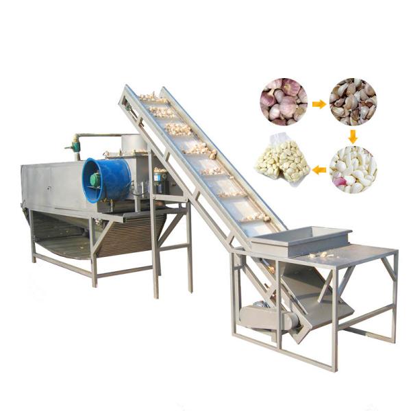 Quality Industrial Commercial Fruit Vegetable Processing Machine For Slicing Fruit for sale