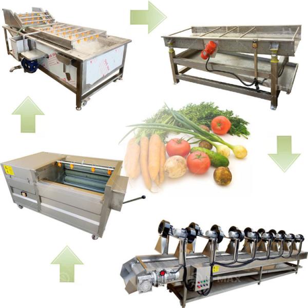 Quality Easy Operation Taro Potato Washing and Peeling Machine for Vegetable Fruit for sale