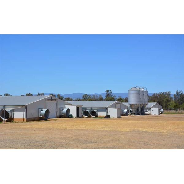 Quality Prefabricated Steel Structure Poultry House Q355 Custom Sizes for sale