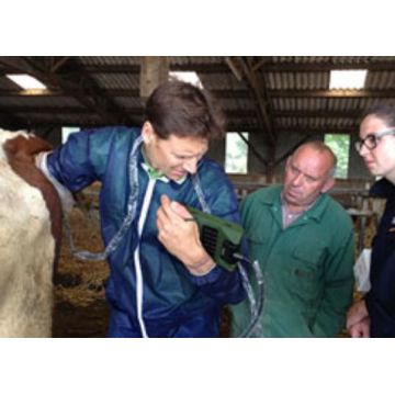 Quality Mini Ultrasound Machine Veterinary Ultrasound Scanner With 6.5MHz Linear Rectal for sale